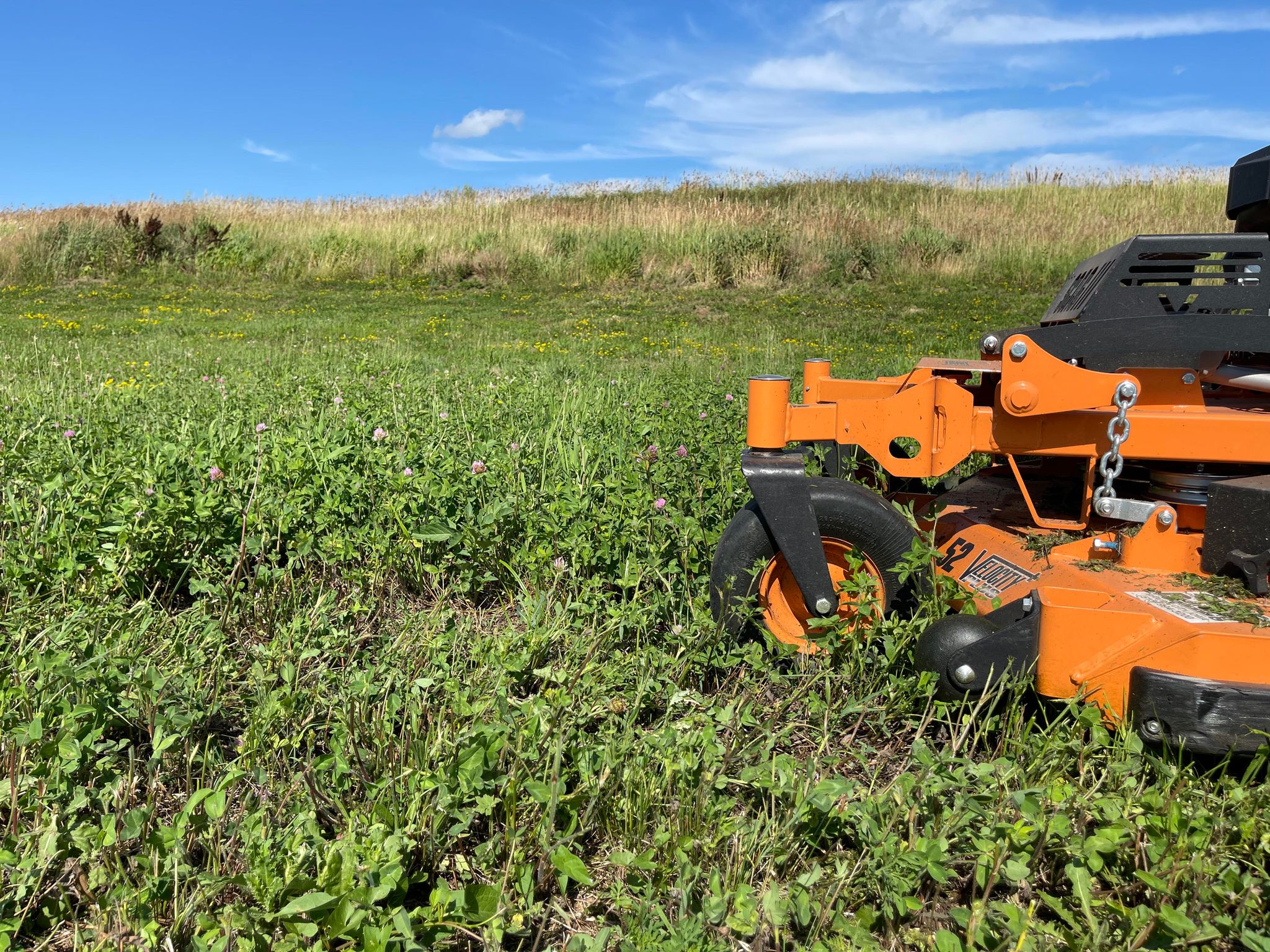 WeMowAltoona.com | Next Level Mowing | Elevating Your Lawn Care Experience